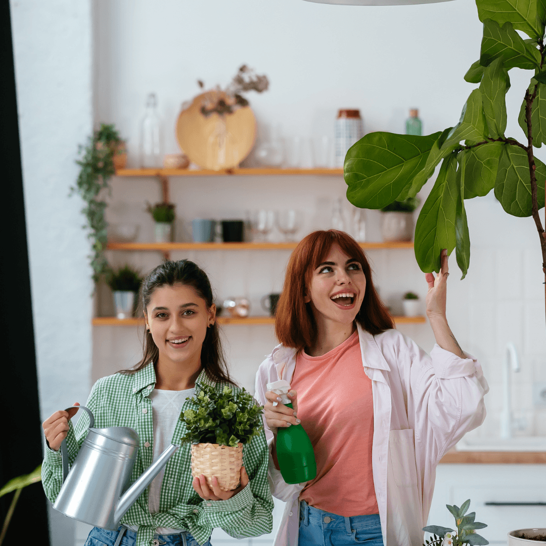 Discover the Joy of Plant Parenthood with Our Monthly Plant Subscription | The Botanical Bar