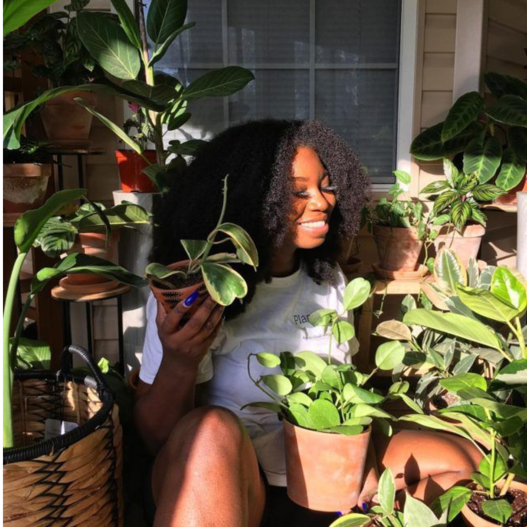 6 Black Plant Influencers to Follow for Black History Month and Beyond ...