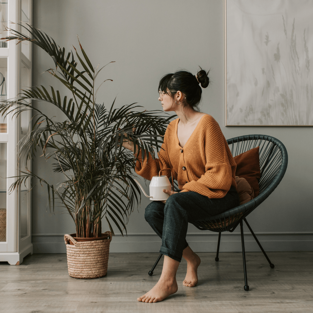 The Best 5 Houseplants For New Plant Parents – The Botanical Bar