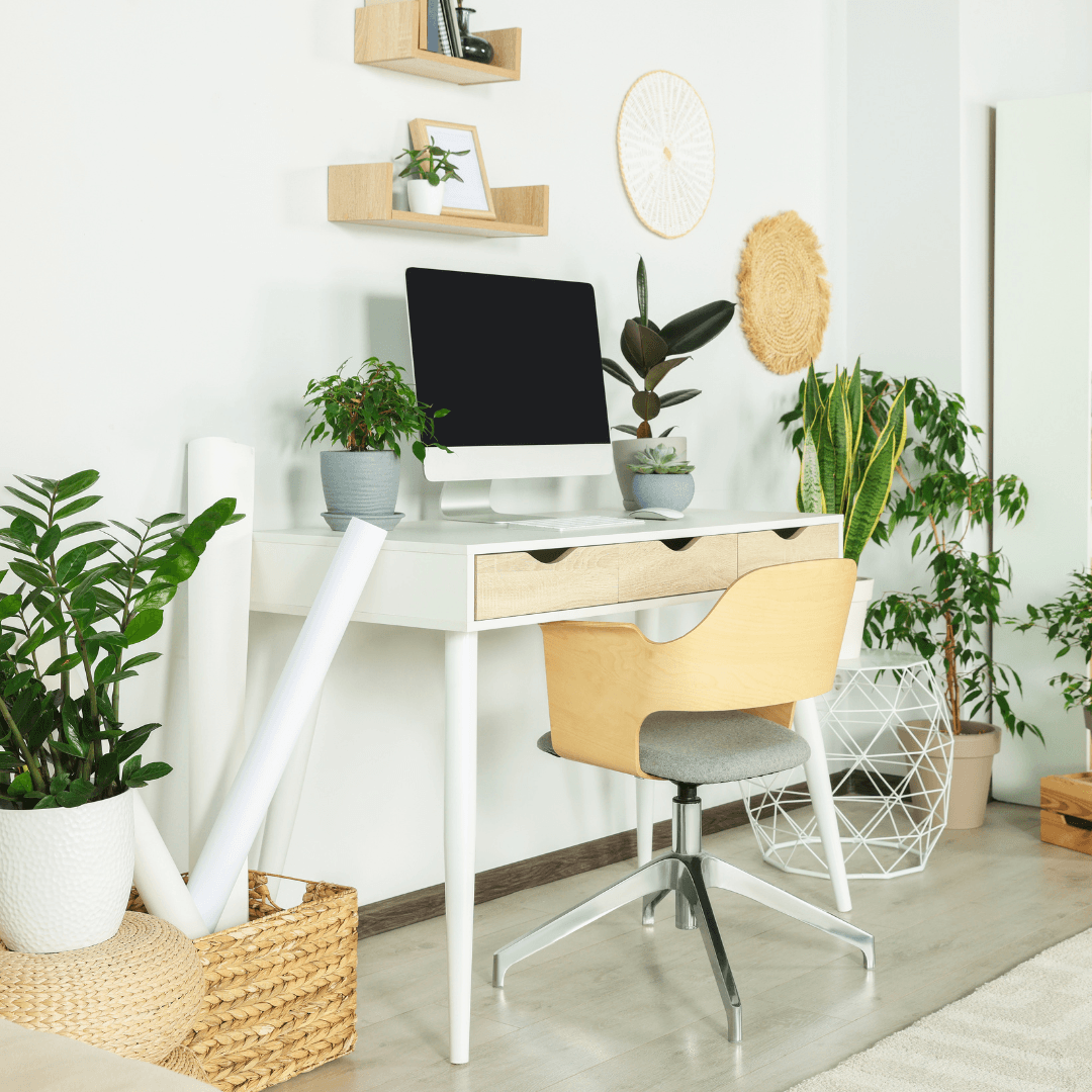 Houseplants for Your Office - Enhance Your Workspace with the Best Ind – The Botanical Bar