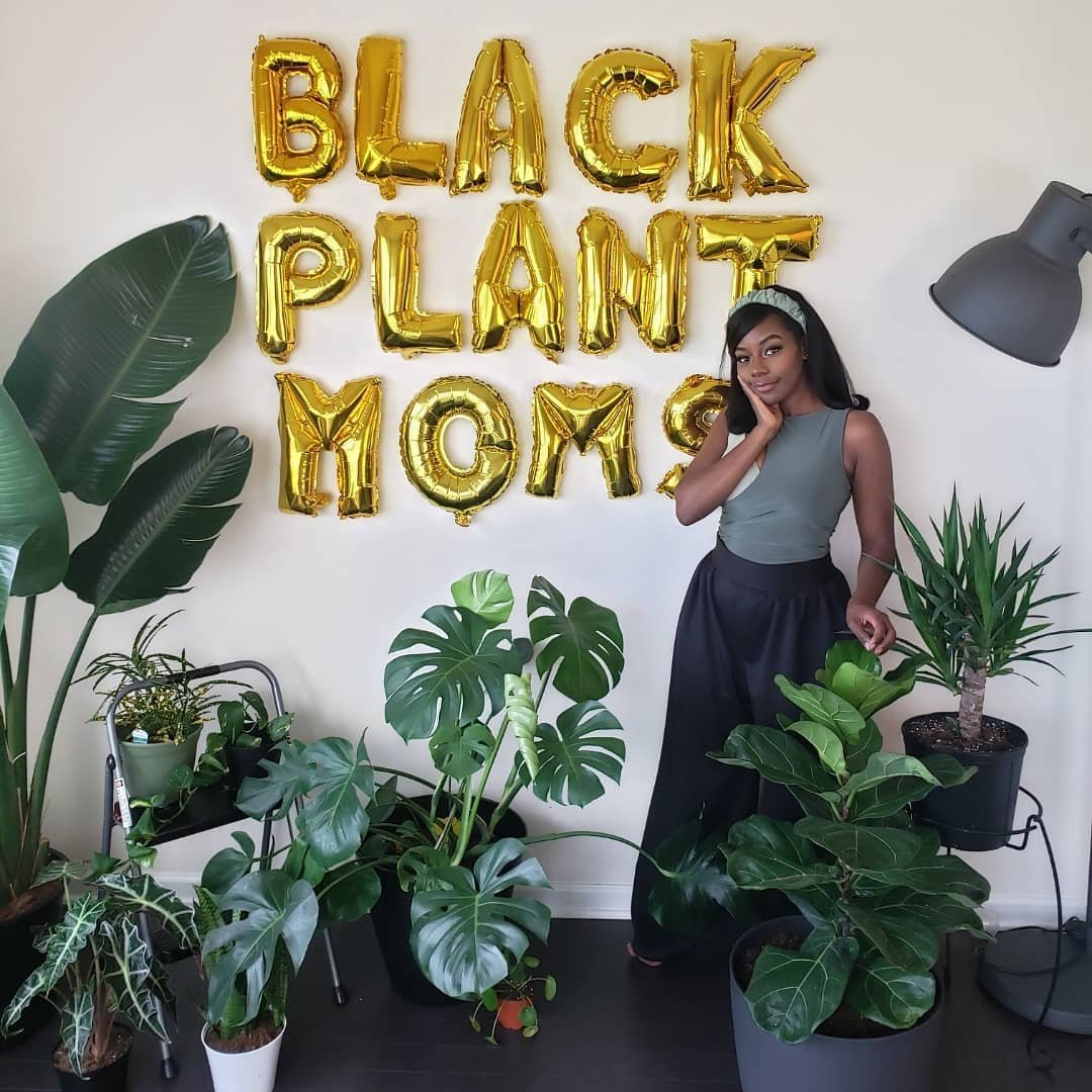 5 Black Plant Influencers To Follow On Instagram – The Botanical Bar