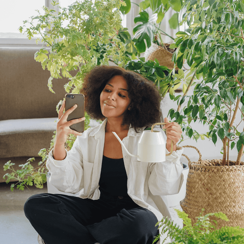 The Top 7 Health Benefits of Houseplants: Greening Your Life for Welln ...