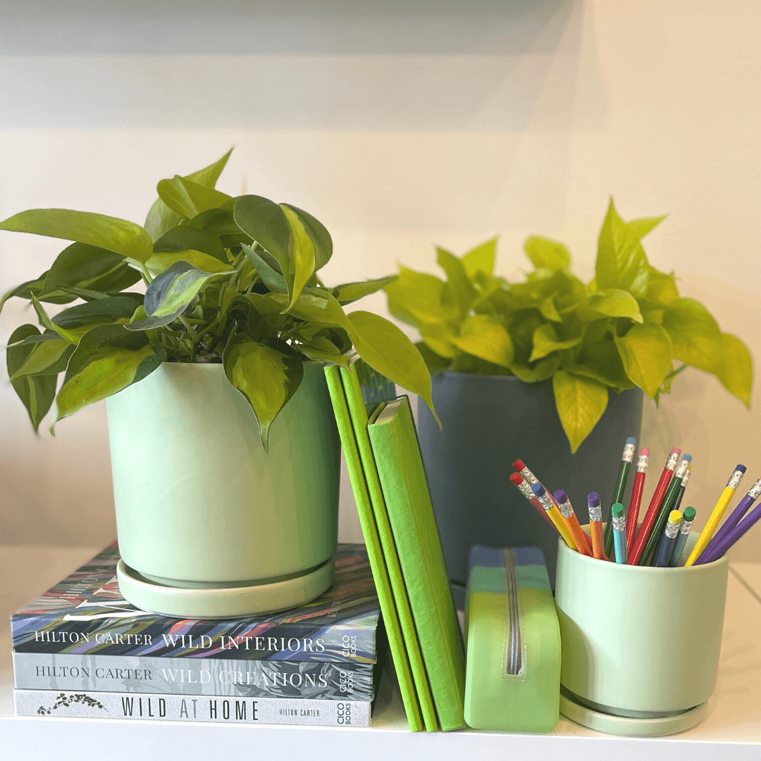 Back to School Giveaway – The Botanical Bar