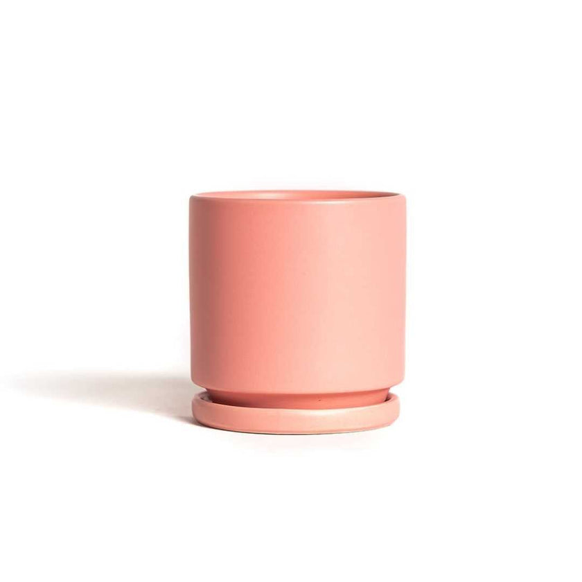 Pots & Planters Cards & Stationery Home & Wellness Monthly Plant ...